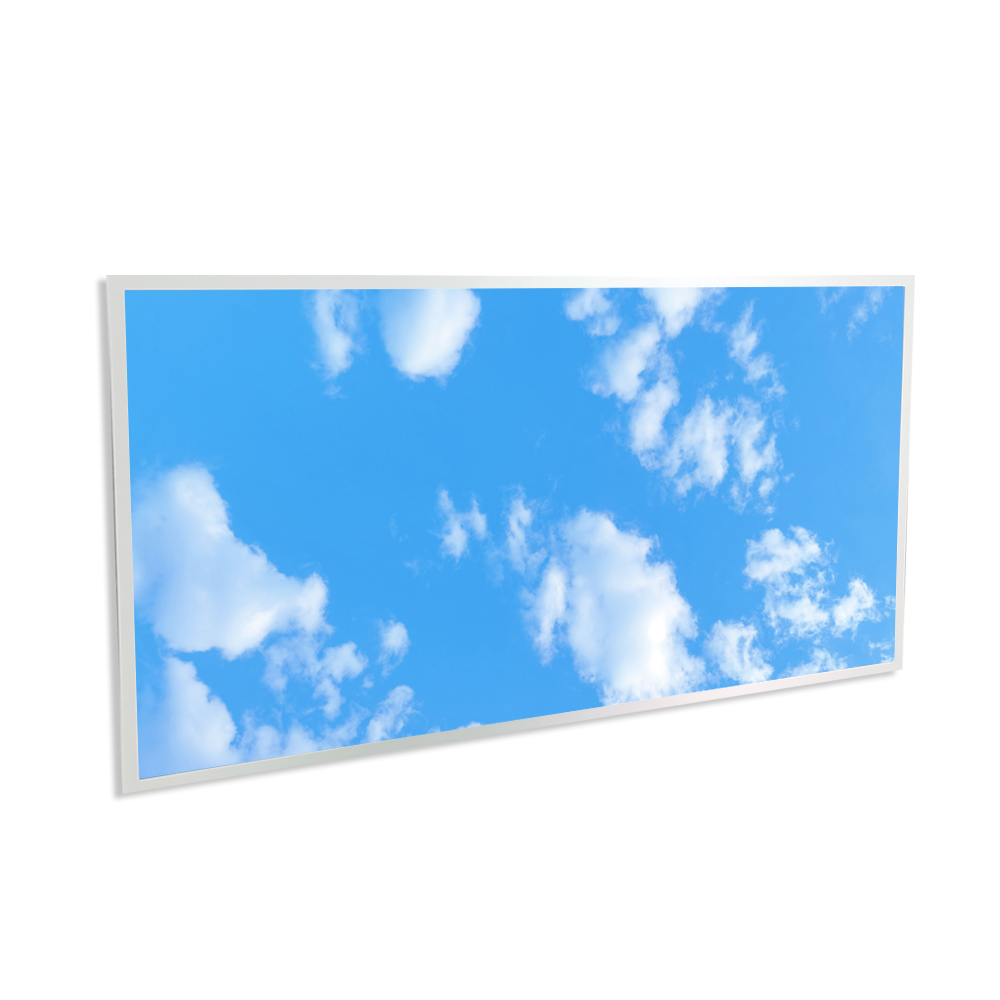 1195x595mm size LED Backlit Panel with 2D Sky Picture,60W (2pc pack ...